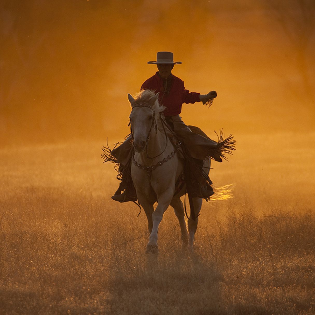 About Us – Johnny Cowboy